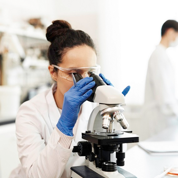 IT Pharma– Western Cosmetics